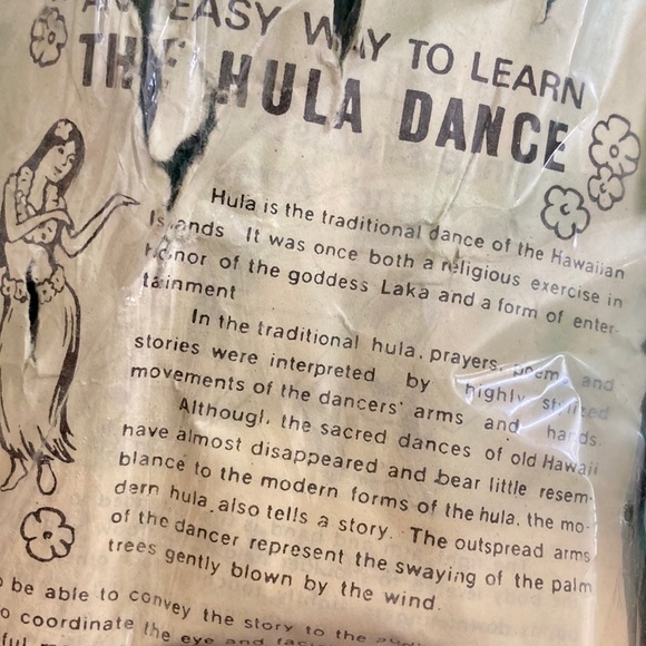 Hawaii | Other | Nwt Hula Dance Grass Skirt And Coconut Bra Costume ...